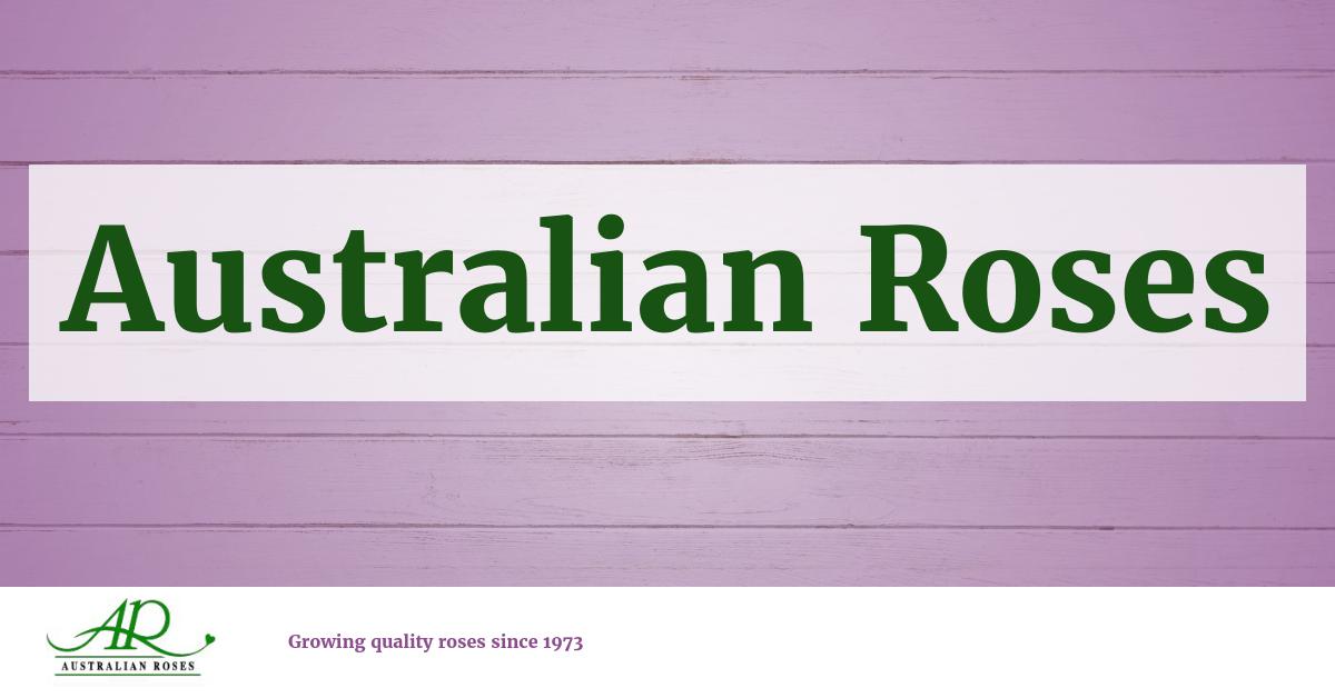 Australian Roses: Rose Propagation: Australian Roses