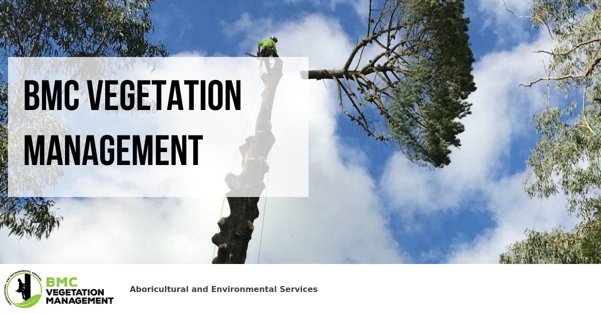 BMC Vegetation Management