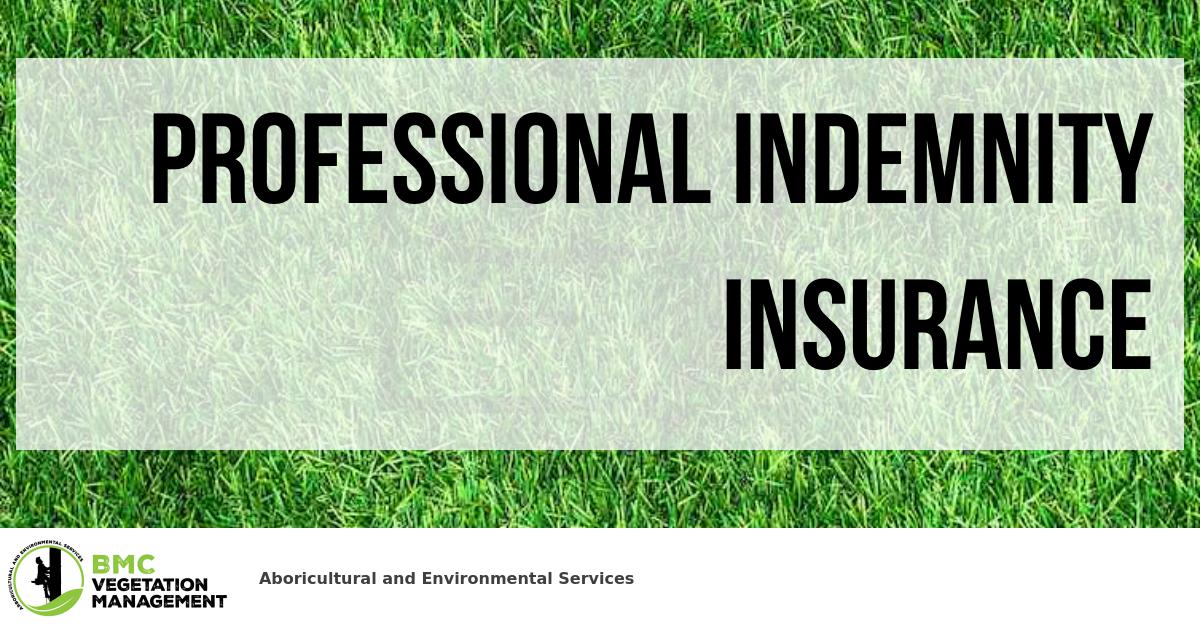 Safety & Insurance: Professional Indemnity Insurance