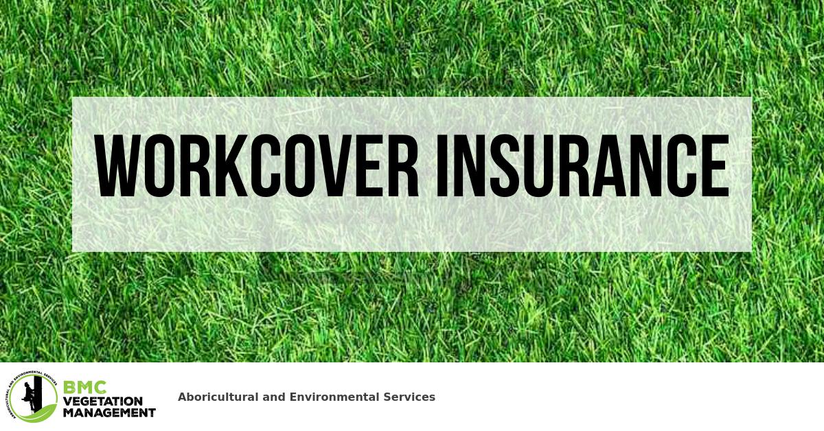 Safety & Insurance: Workcover Insurance