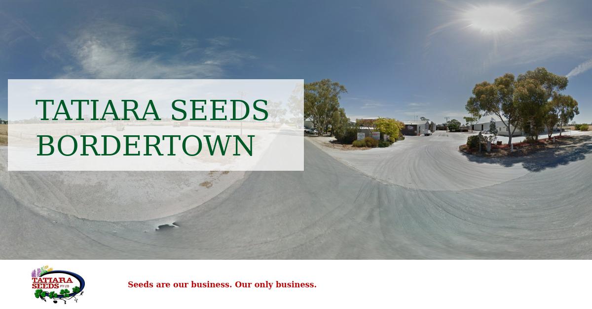 Tatiara Seeds: Location: Tatiara Seeds Bordertown