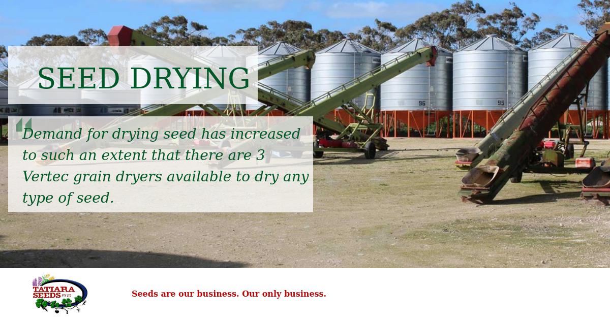 Tatiara Seeds: Services: Seed Drying