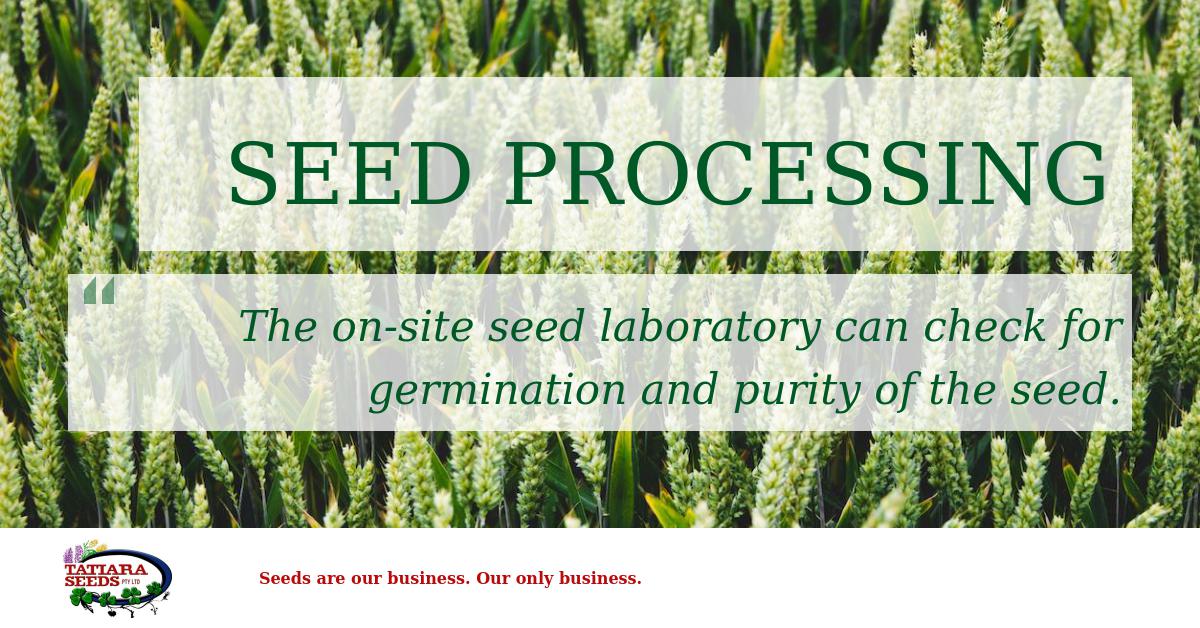 Tatiara Seeds: Services: Seed Processing